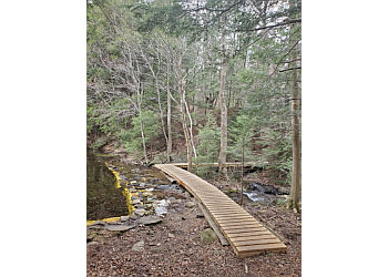3 Best Hiking Trails in Huntsville, ON - Expert Recommendations