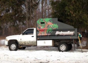 3 Best Tree Services in London, ON - Expert Recommendations