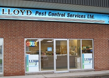3 Best Pest Control in Oshawa, ON - Expert Recommendations
