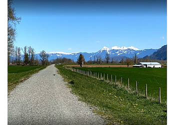 3 Best Hiking Trails in Abbotsford, BC - Expert Recommendations