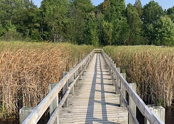 3 Best Hiking Trails in Ottawa, ON - Expert Recommendations