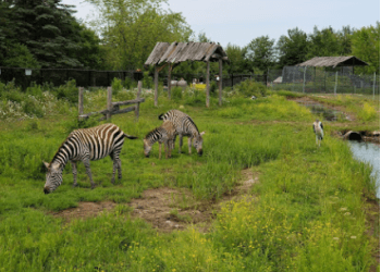 3 Best Places To See in Moncton, NB - Expert Recommendations