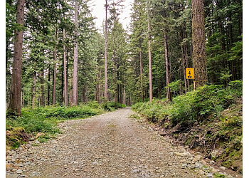 3 Best Hiking Trails in Maple Ridge, BC - Expert Recommendations