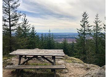 3 Best Hiking Trails in Maple Ridge, BC - Expert Recommendations
