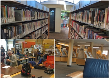 3 Best Landmarks in Markham, ON - Expert Recommendations