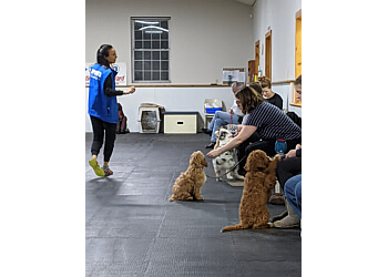 3 Best Dog Trainers in Hamilton, ON - ThreeBestRated