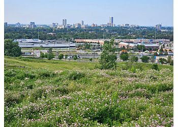 3 Best Public Parks in Kitchener, ON - Expert Recommendations