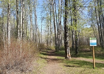 3 Best Hiking Trails in Prince George, BC - ThreeBestRated