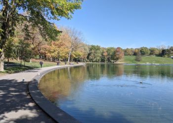 3 Best Public Parks in Montreal, QC - ThreeBestRated