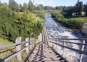 3 Best Hiking Trails in Grande Prairie, AB - ThreeBestRated