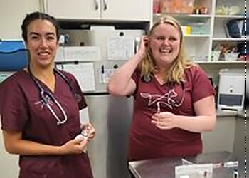 3 Best Veterinary Clinics in Victoria, BC - Expert Recommendations