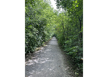 3 Best Hiking Trails in Richmond Hill, ON - ThreeBestRated