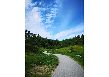 3 Best Hiking Trails in Richmond Hill, ON - Expert Recommendations