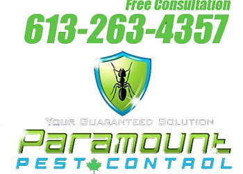 3 Best Pest Control in Ottawa, ON - Expert Recommendations
