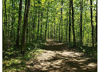 3 Best Hiking Trails in Ottawa, ON - Expert Recommendations