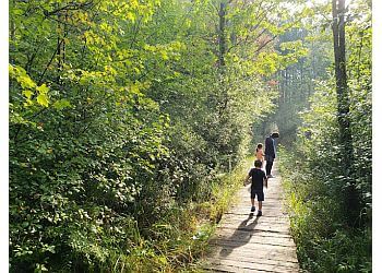 3 Best Hiking Trails in Ottawa, ON - Expert Recommendations