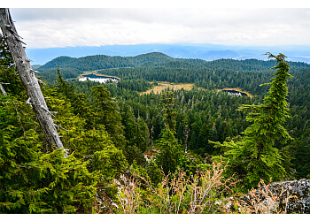 3 Best Hiking Trails in Coquitlam, BC - Expert Recommendations