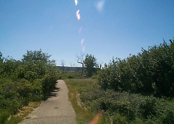 3 Best Hiking Trails in Medicine Hat, AB - ThreeBestRated