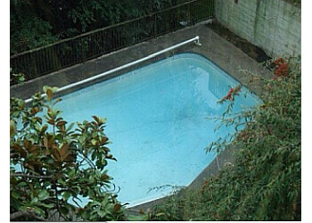 3 Best Pool Services in Maple Ridge, BC - Expert Recommendations