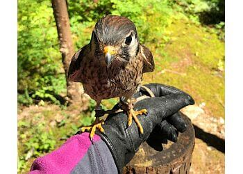 3 Best Places To See in Maple Ridge, BC - Expert Recommendations