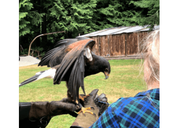 3 Best Places To See in Maple Ridge, BC - Expert Recommendations