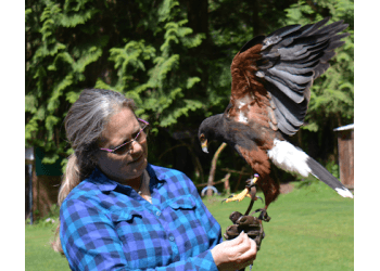 3 Best Places To See in Maple Ridge, BC - Expert Recommendations