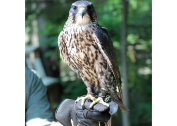 3 Best Places To See in Maple Ridge, BC - Expert Recommendations