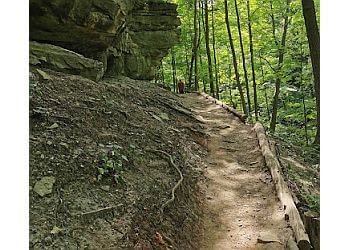3 Best Hiking Trails in Hamilton, ON - Expert Recommendations