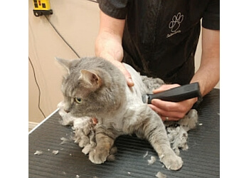 3 Meilleurs Salons de Toilettage Pour Animaux De Compagnie à Québec, QC ...