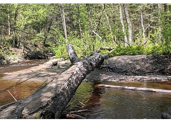 3 Meilleurs Sentiers De Randonnée à Trois-Rivières, QC ...