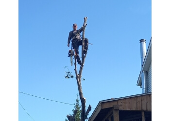 3 Best Tree Services in Brossard, QC - ThreeBestRated