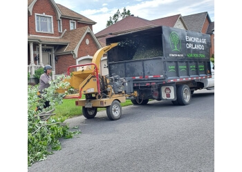 3 Best Tree Services in Brossard, QC - Expert Recommendations