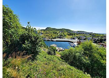 3 Best Hiking Trails in St. John's, NL - Expert Recommendations