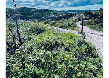 3 Best Hiking Trails in St. John's, NL - Expert Recommendations