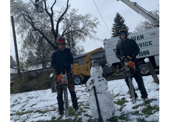 3 Best Tree Services in Calgary, AB - Expert Recommendations