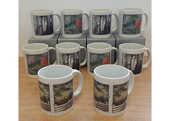 3 Best Printers in Cambridge, ON - Expert Recommendations