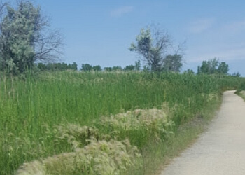 3 Best Hiking Trails in Winnipeg, MB - Expert Recommendations