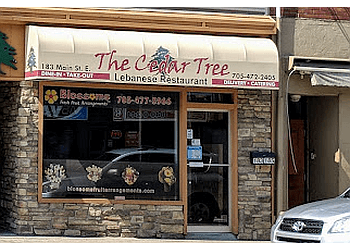 3 Best Mediterranean Restaurants in North Bay, ON - Expert Recommendations