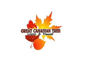 3 Best Tree Services in Barrie, ON - ThreeBestRated