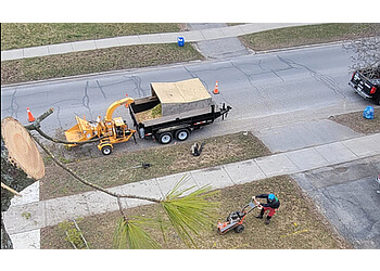 3 Best Tree Services in Belleville, ON - Expert Recommendations
