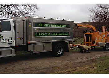 3 Best Tree Services in Waterloo, ON - Expert Recommendations