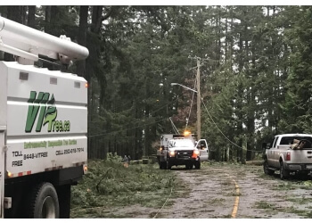 3 Best Tree Services in Nanaimo, BC - Expert Recommendations