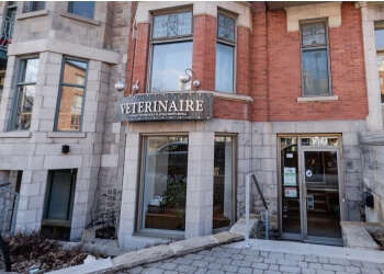 3 Best Veterinary Clinics in Montreal, QC - Expert Recommendations