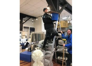 3 Best Pest Control in Victoria, BC - ThreeBestRated