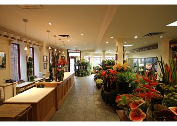 3 Best Florists in Montreal, QC - Expert Recommendations