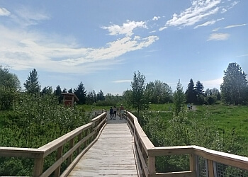 3 Best Hiking Trails in Abbotsford, BC - Expert Recommendations