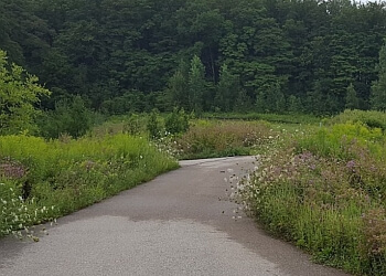 3 Best Hiking Trails in Waterloo, ON - Expert Recommendations