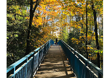 3 Best Hiking Trails in Port Coquitlam, BC - Expert Recommendations