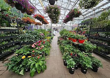 3 Best Florists in Edmonton, AB - Expert Recommendations